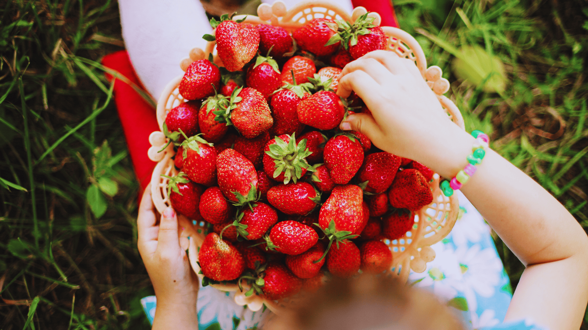 Erdbeeren: DAS passiert, wenn du die Früchte jeden Tag isst - gofeminin